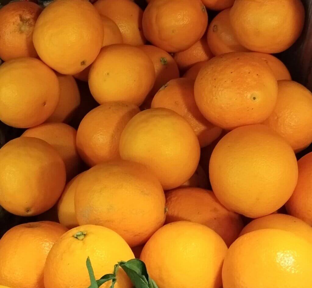 Oranges Portugal - Env. 1 Kg - Cultures Paysannes